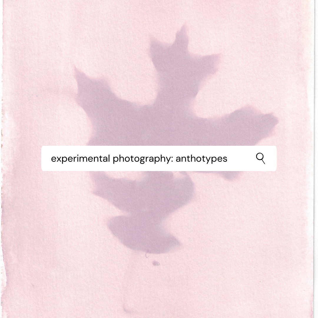 Experimental Photography: Anthotypes – Autumnfire Graphic Design